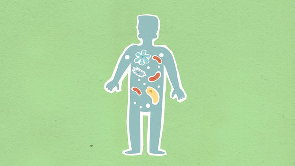 How To Deal With An Overactive Immune System